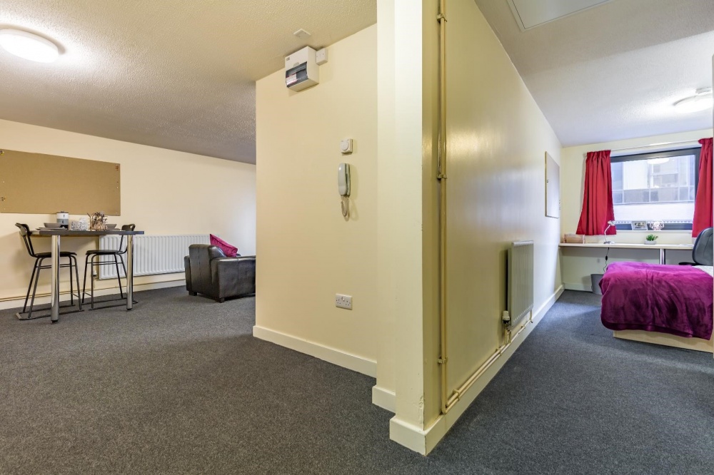 The Pinnacles, Diggs - Sheffield | Reviews By Students